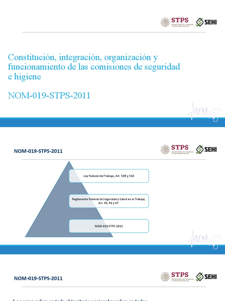 Nom 019 STPS 2011 | PDF