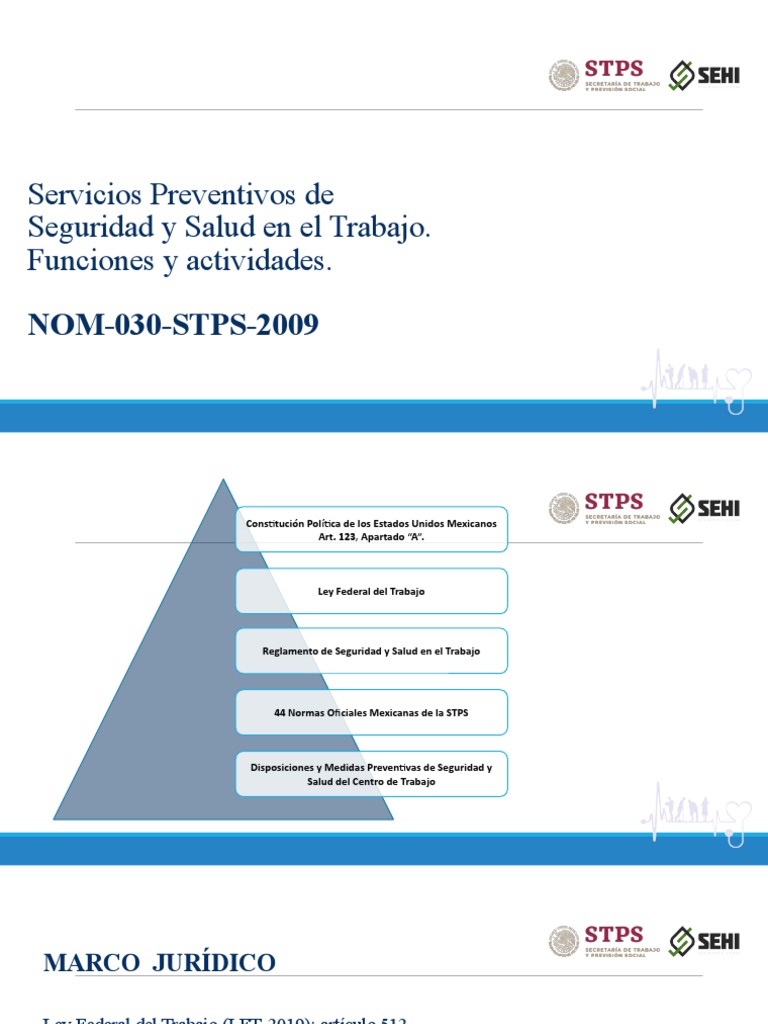 NOM 030 STPS 2009 | PDF | Seguridad y salud ocupacional | Valores