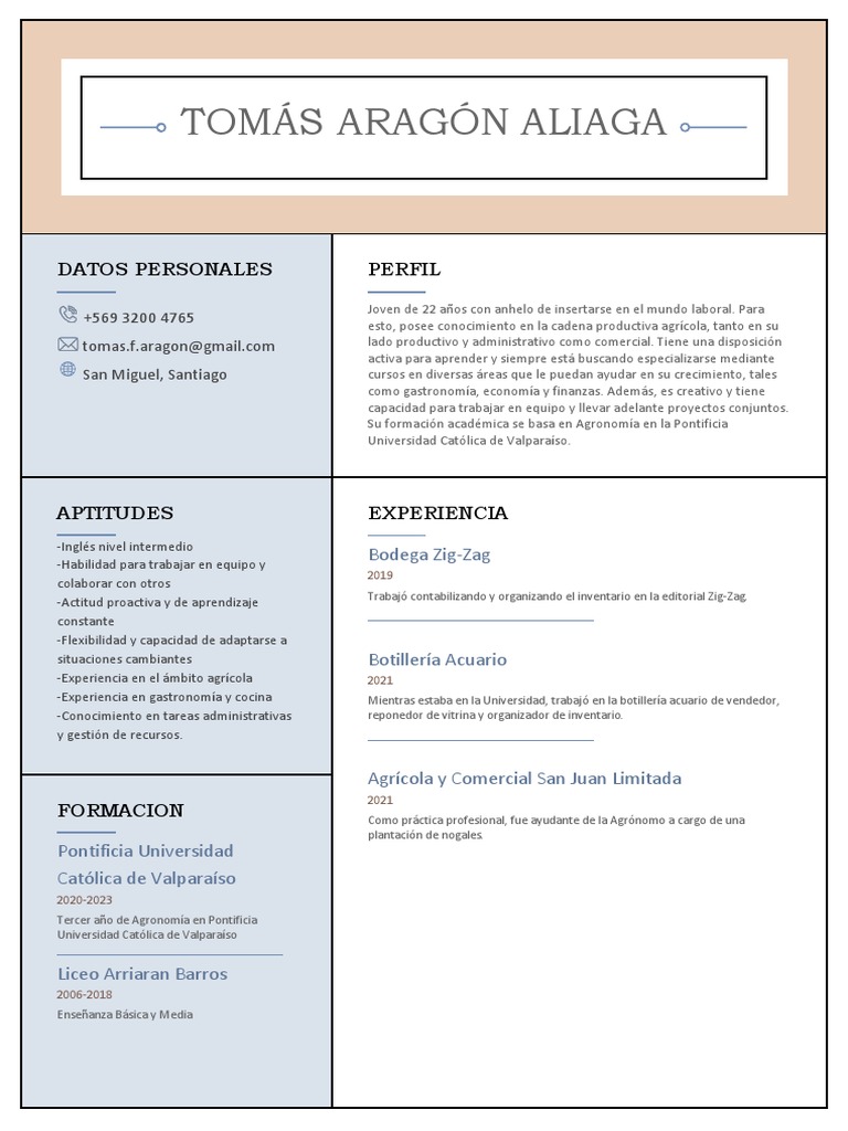 Currículum Tomás Aragón Aliaga | PDF