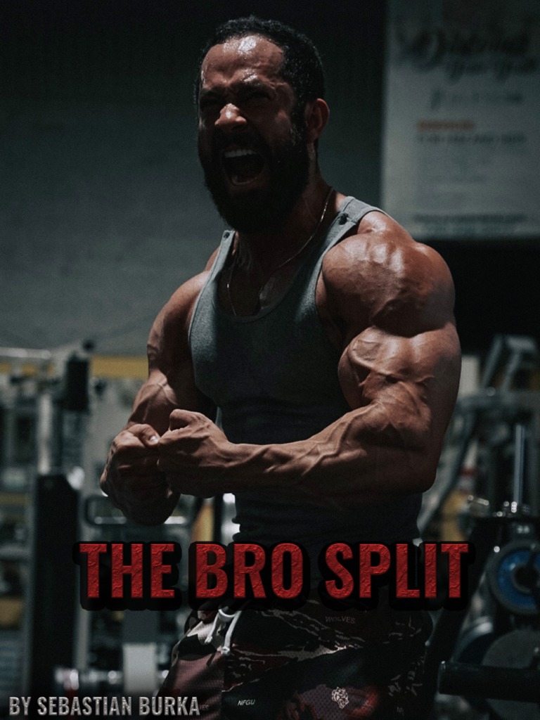 The Bro Split | PDF | Weight Training | Human Anatomy