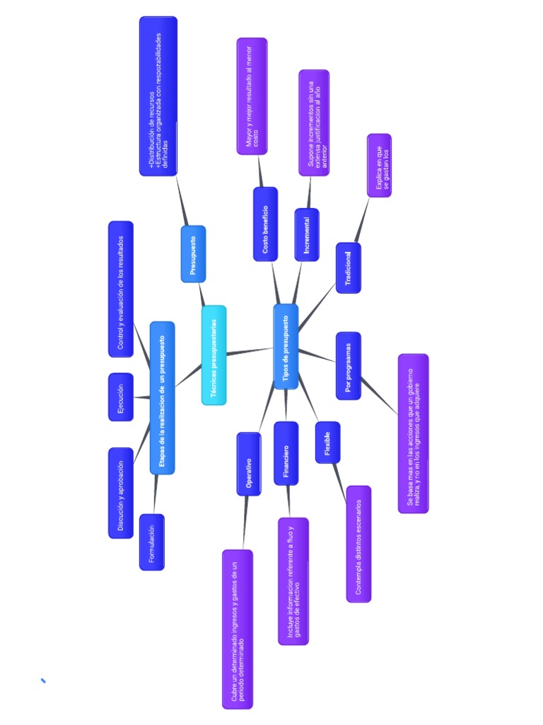 Mapa Conceptual Presupuesto | PDF