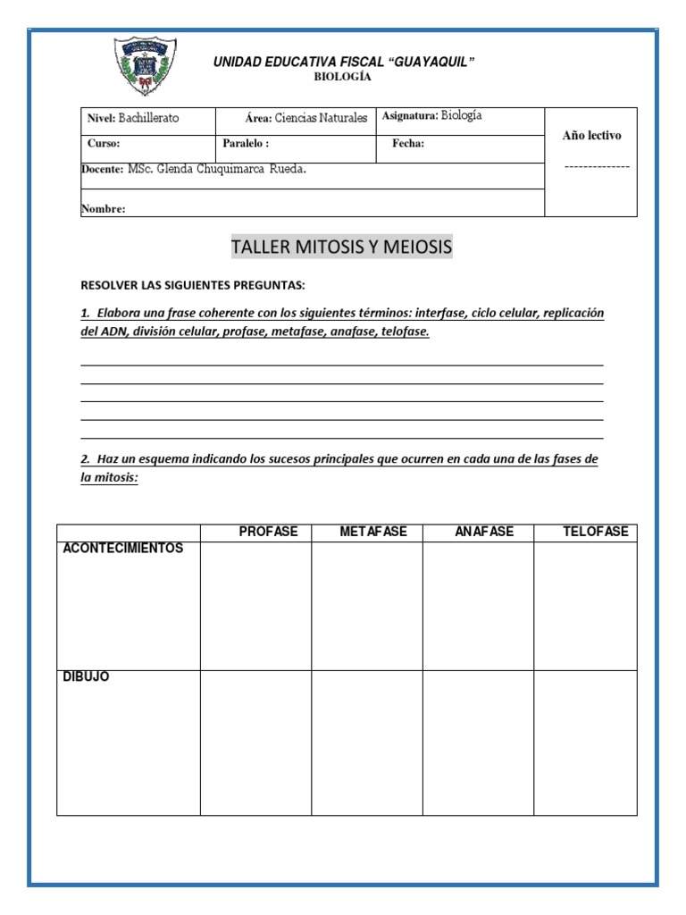 Taller Mitosis y Meiosis Biologìa | PDF