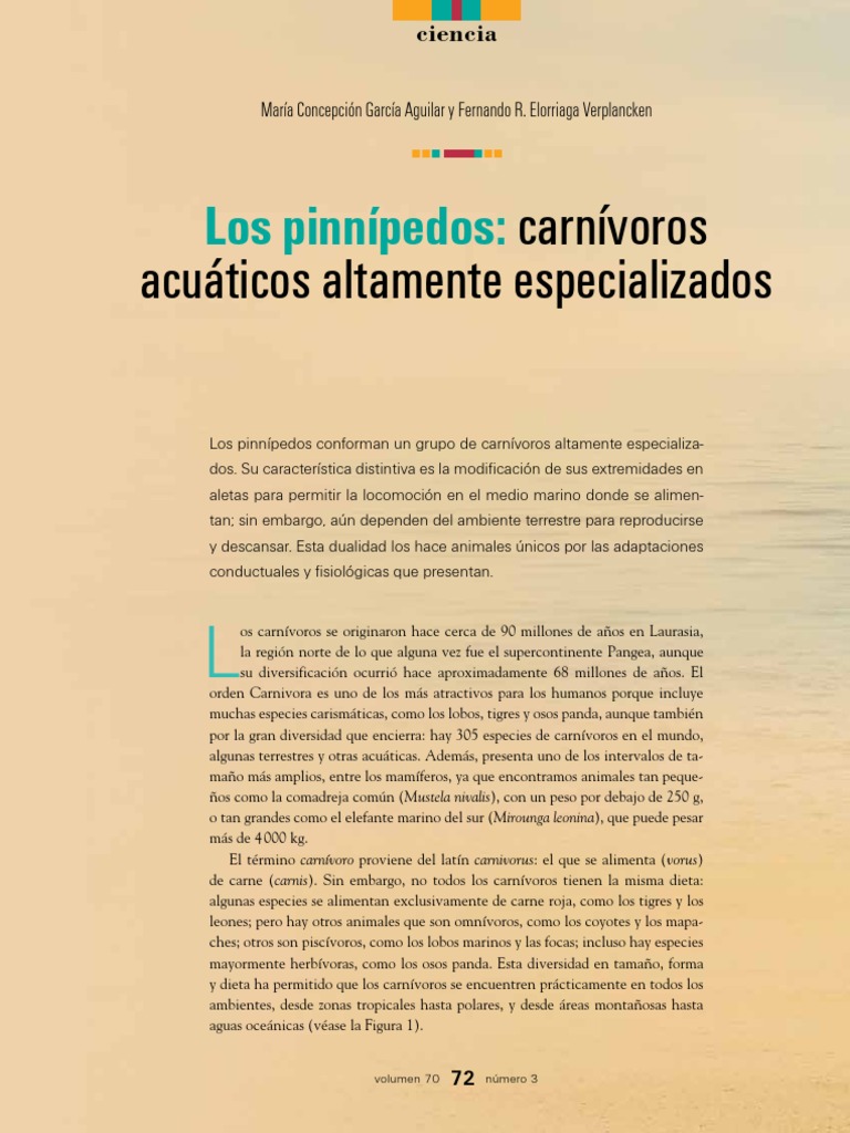 Pinnipedos | PDF