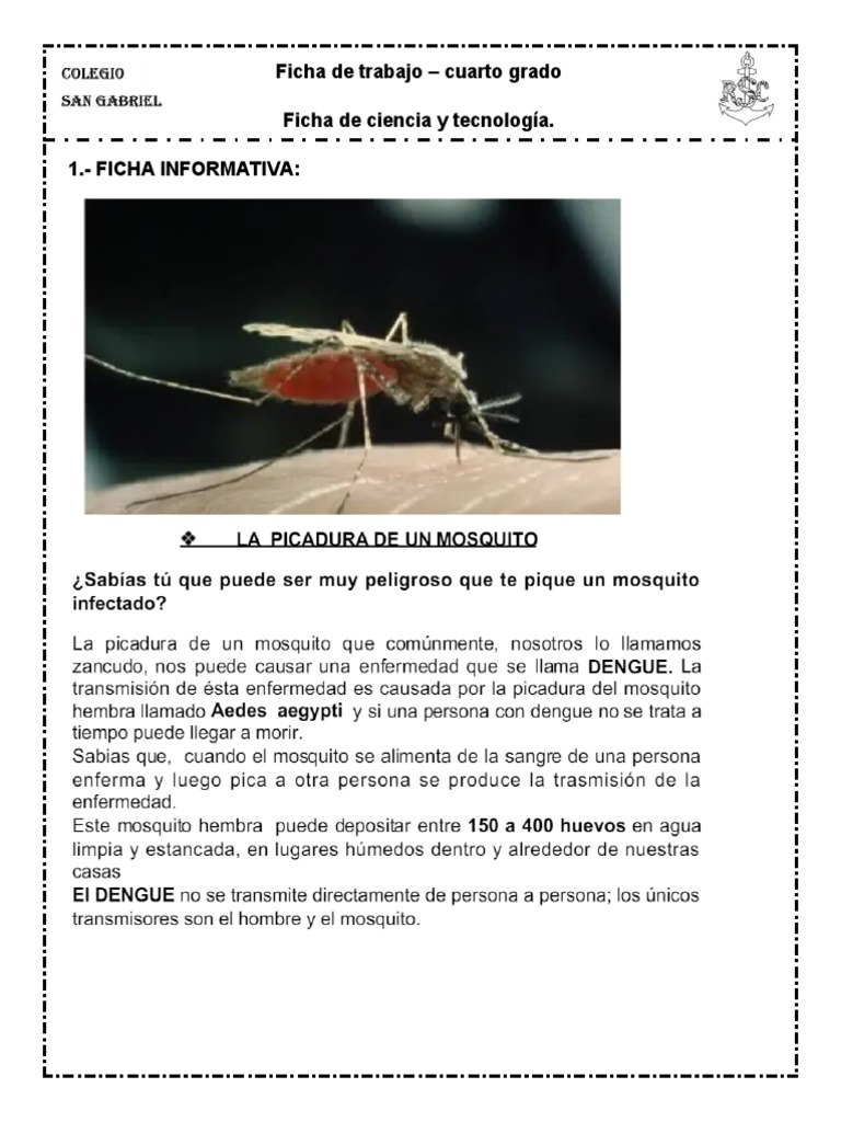 Ficha Acerca Del Dengue | PDF