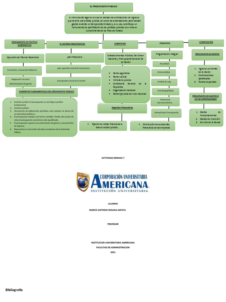 Mapa Conceptual | PDF | Presupuesto | Presupuesto del gobierno