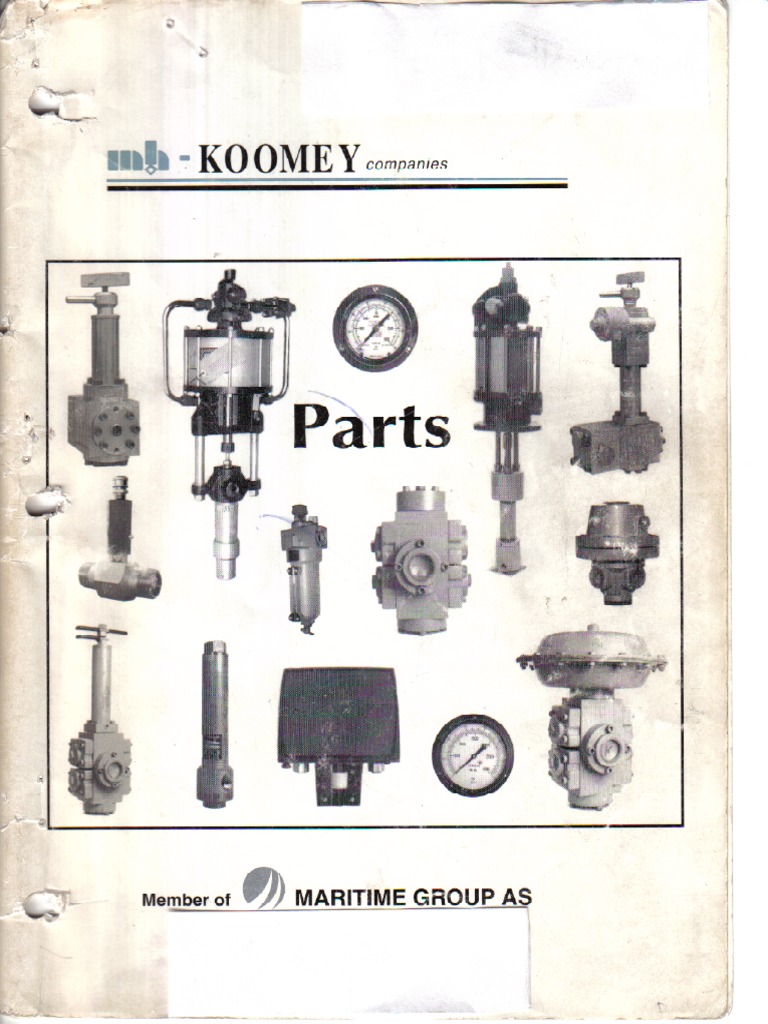 Catalogo Koomey | PDF