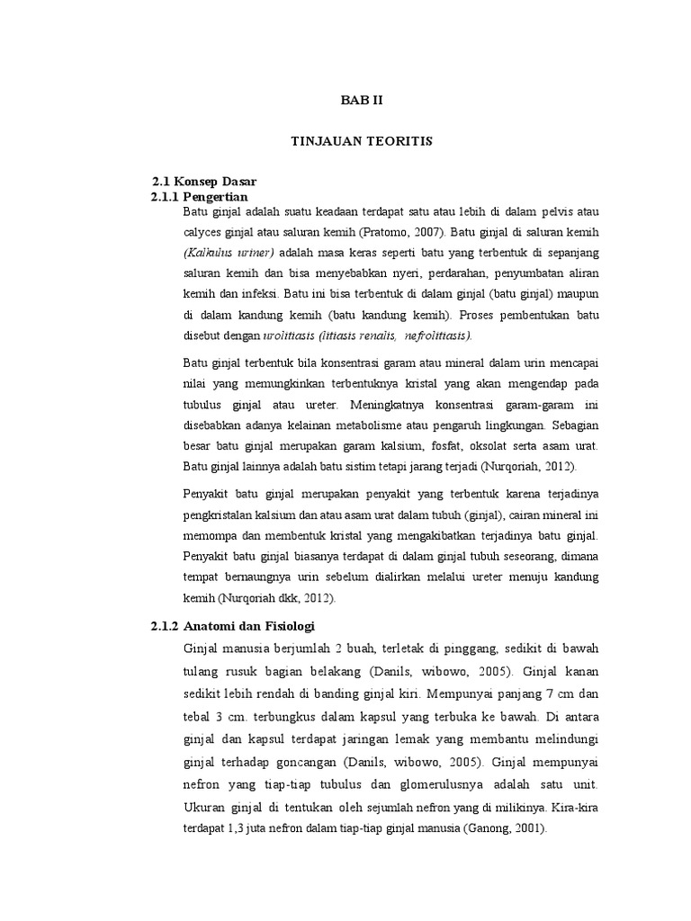 LP Batu Ginjal | PDF