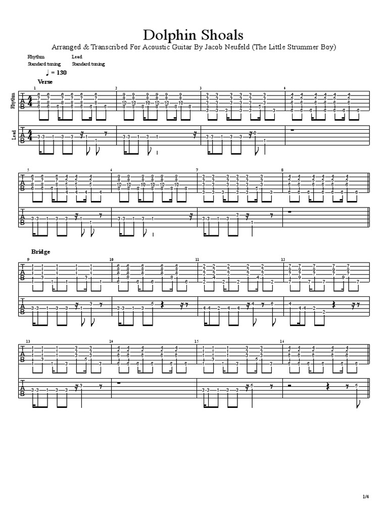 Dolphin Shoals Guitar Tab | PDF