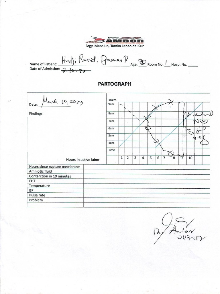 04 Djasmen - Partograph | PDF