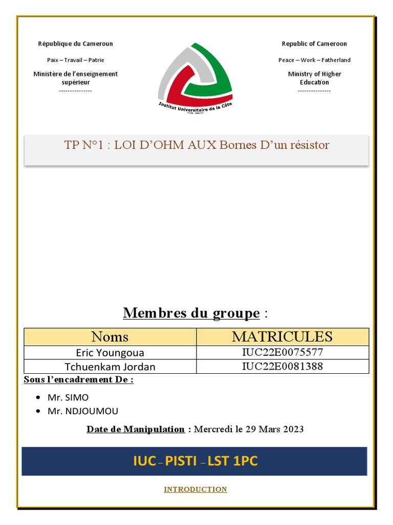 TP Loi D'ohm Eric | PDF | Résistance (électricité) | Résistance (composant)
