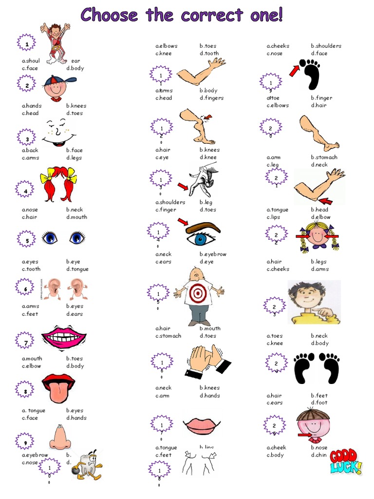 Body Parts Tests - 36904 | PDF | Human Hair | Hair