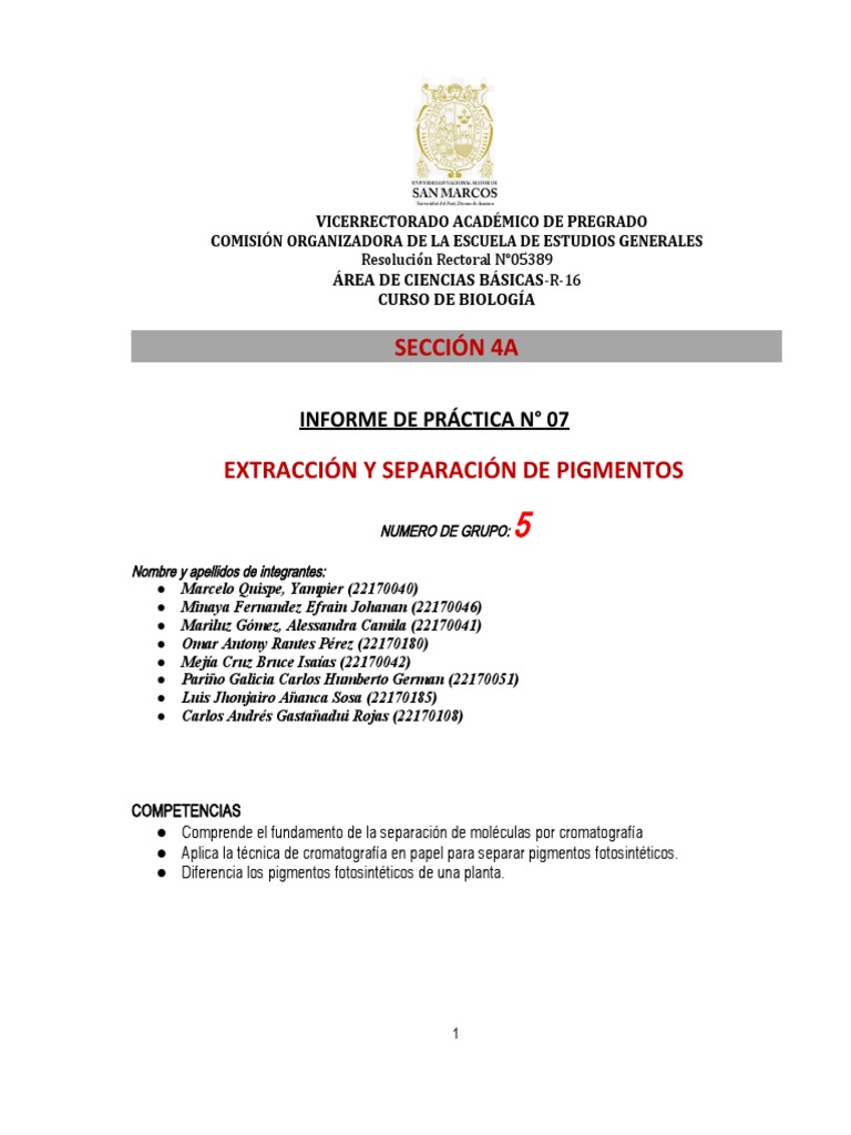 Sem 7 - Informe de Practica 7 - Pigmentos - Gab | PDF