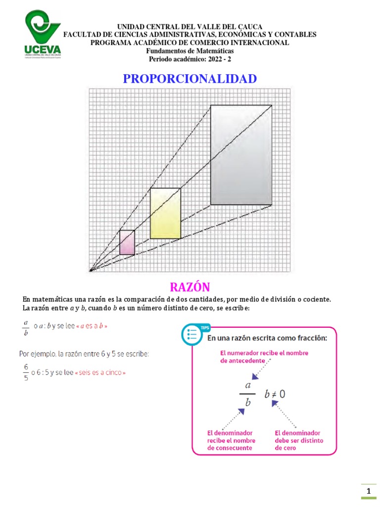 6. Razones y Proporciones | PDF | Matemática Elemental | Objetos ...