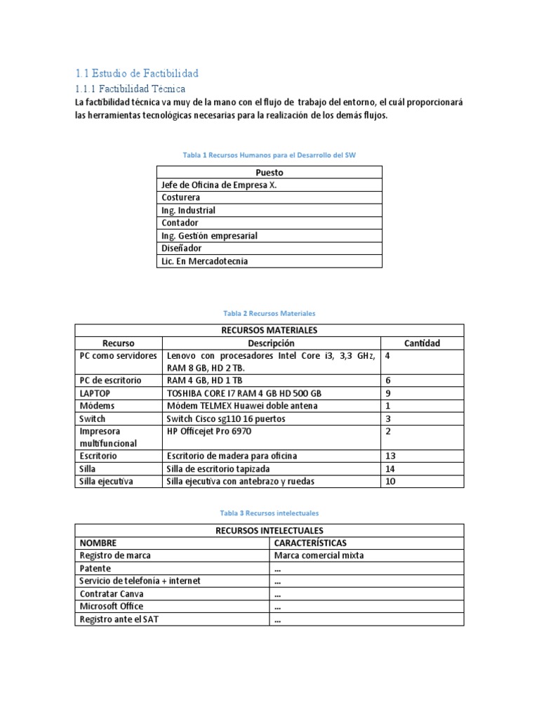Ejemplo de Estudio de Factibilidad | PDF