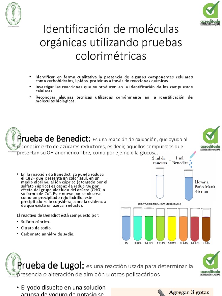 Identificación de Moléculas Con Pruebas Colorimétricas | PDF