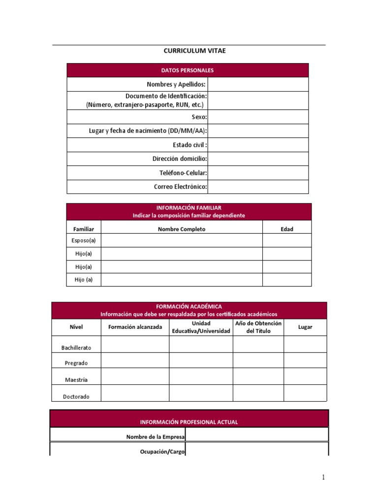 Formato Curriculum Vitae Modelo 1 | PDF