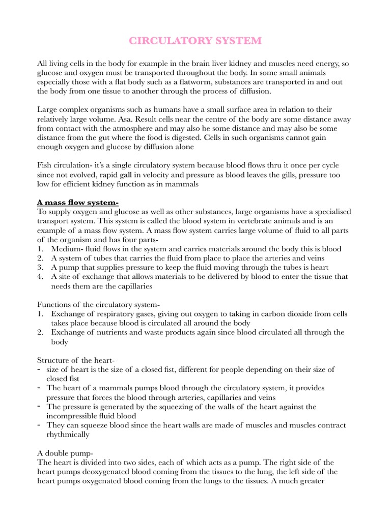 Circulatory System Notes Igcse Pdf Atrium Heart Ventricle Heart