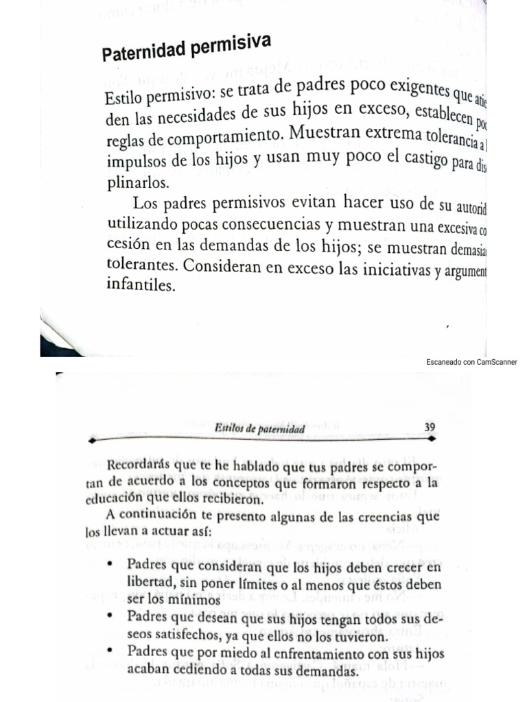 Paternidad Permisiva | PDF