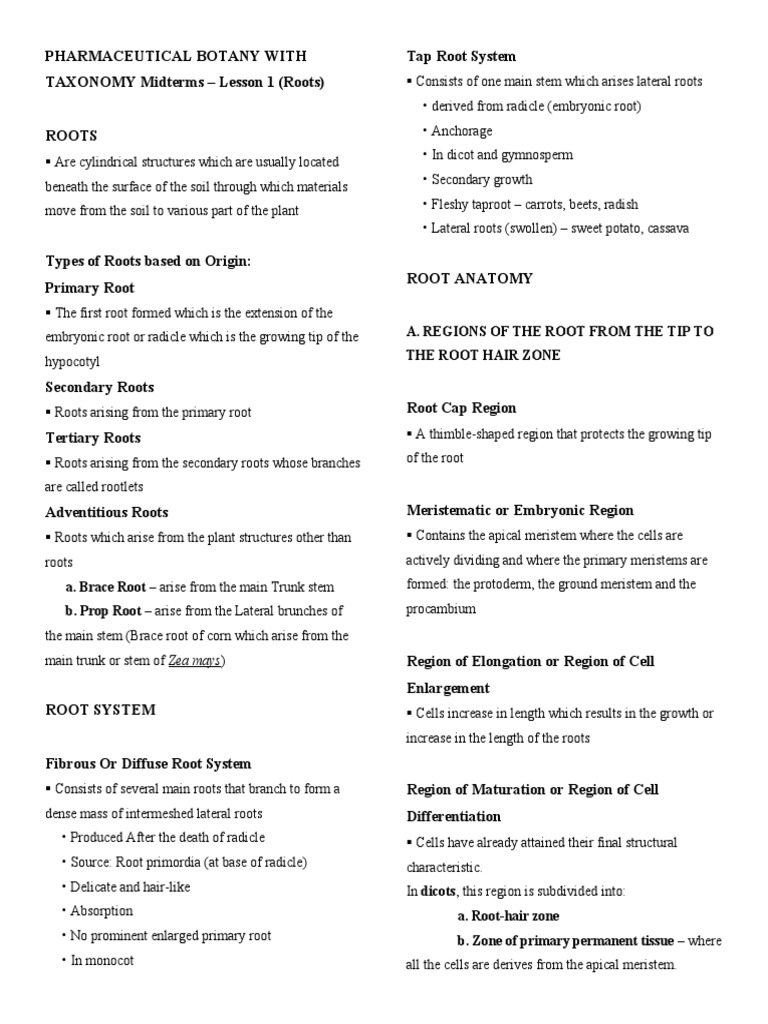 PBOT Midterms - Lesson 1 (Roots) | PDF | Root | Tissue (Biology)
