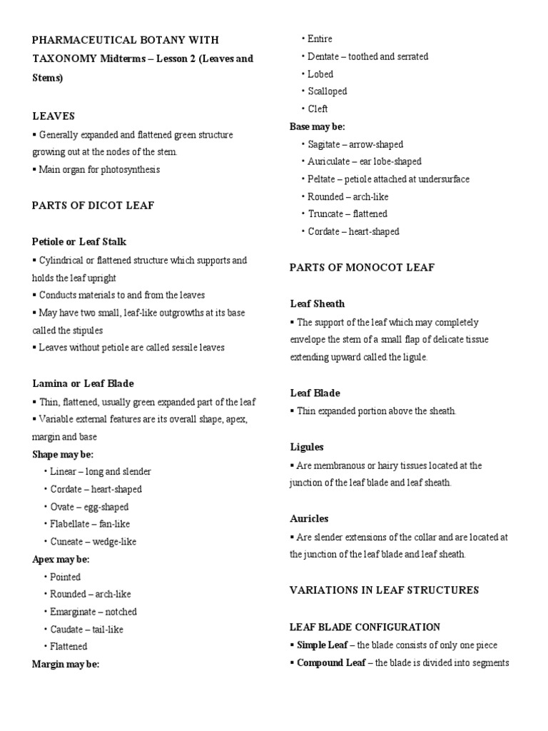 PBOT Midterms - Lesson 2 (Leaves and Stems) | PDF