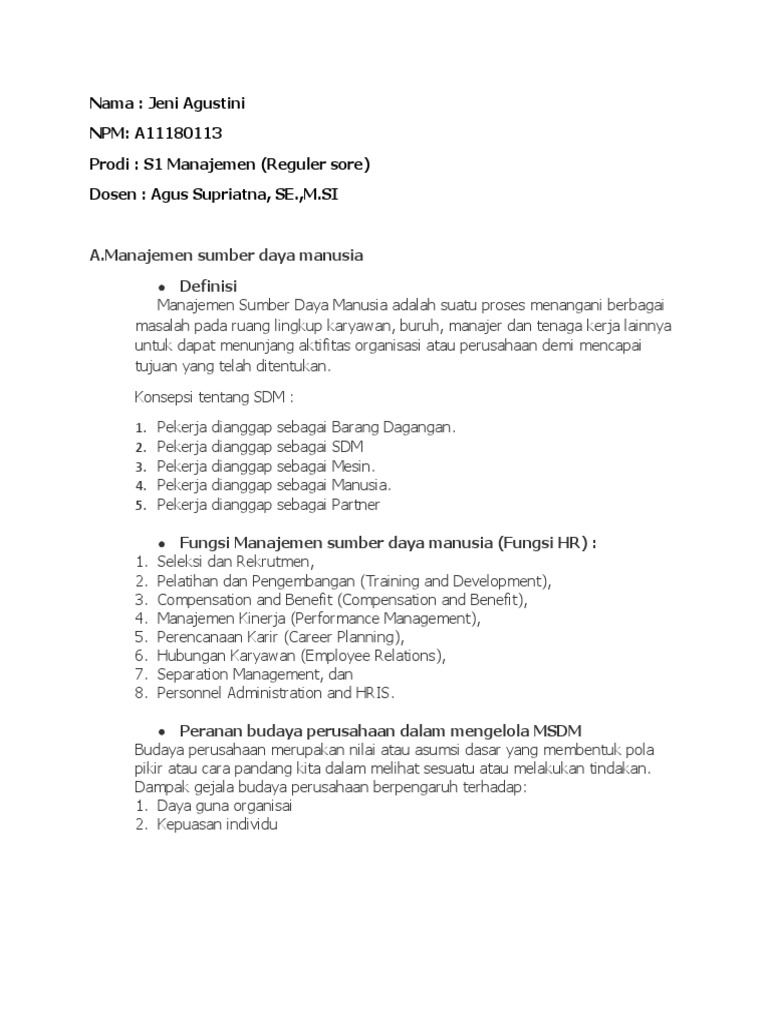 A11180113-Resume MSDM Jeni Agustini | PDF
