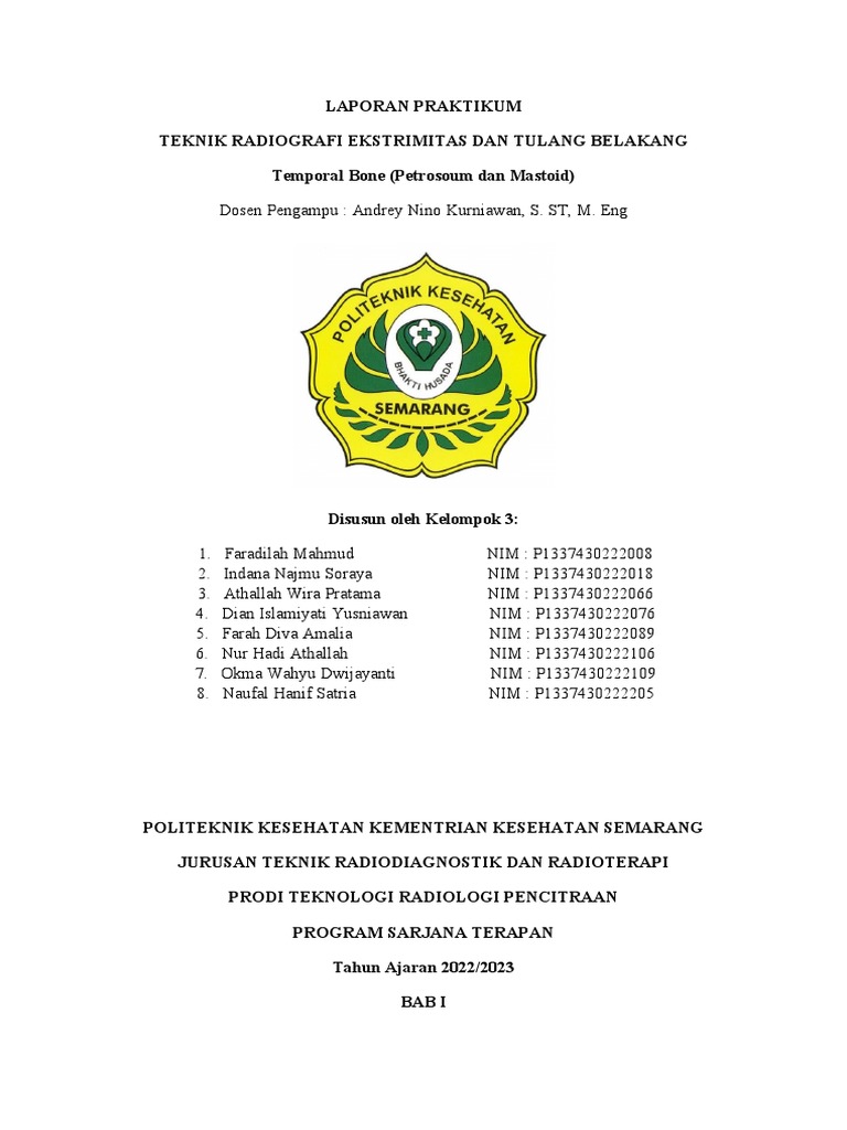 1C - Kelompok 3 - Temporal Bone (Mastoid and Petrous Ridge) | PDF
