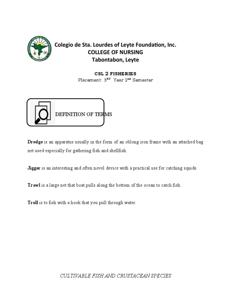 Module 7 CSL 2 | PDF