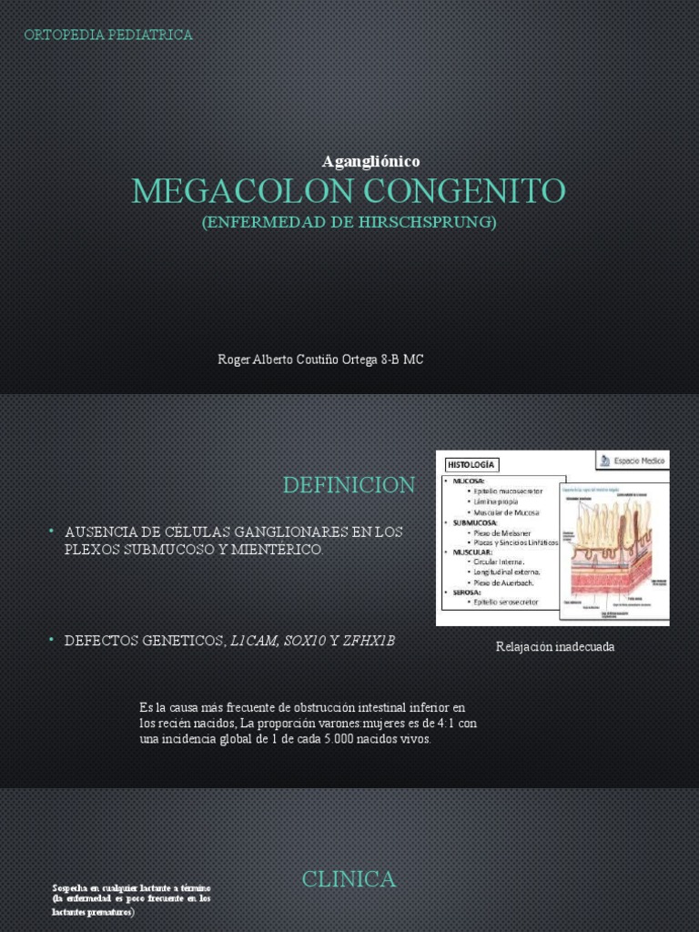 Megacolon Congénito: Enfermedad de Hirschsprung | PDF