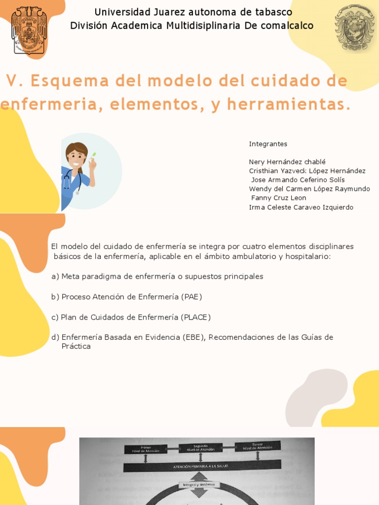 Esquema Del Modelo Del Cuidado De Enfermería Pdf 8922