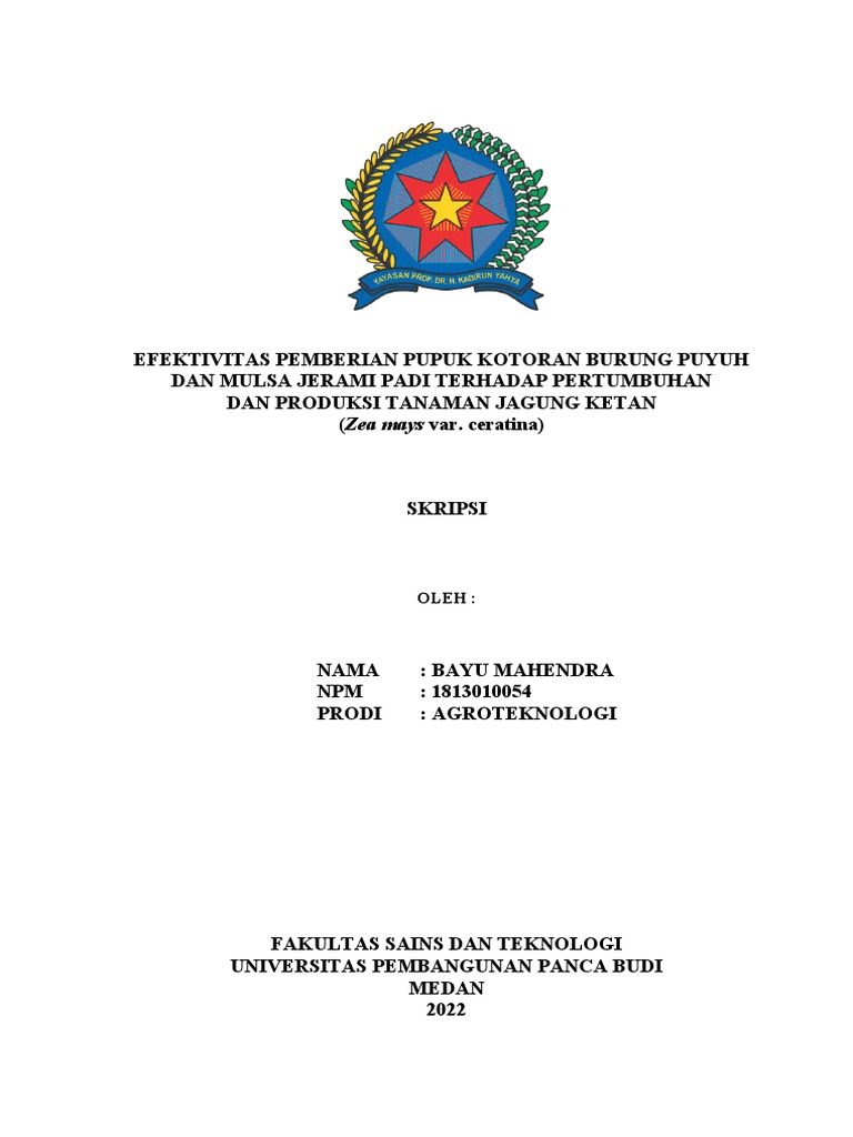 Skripsi Bayu 2 | PDF