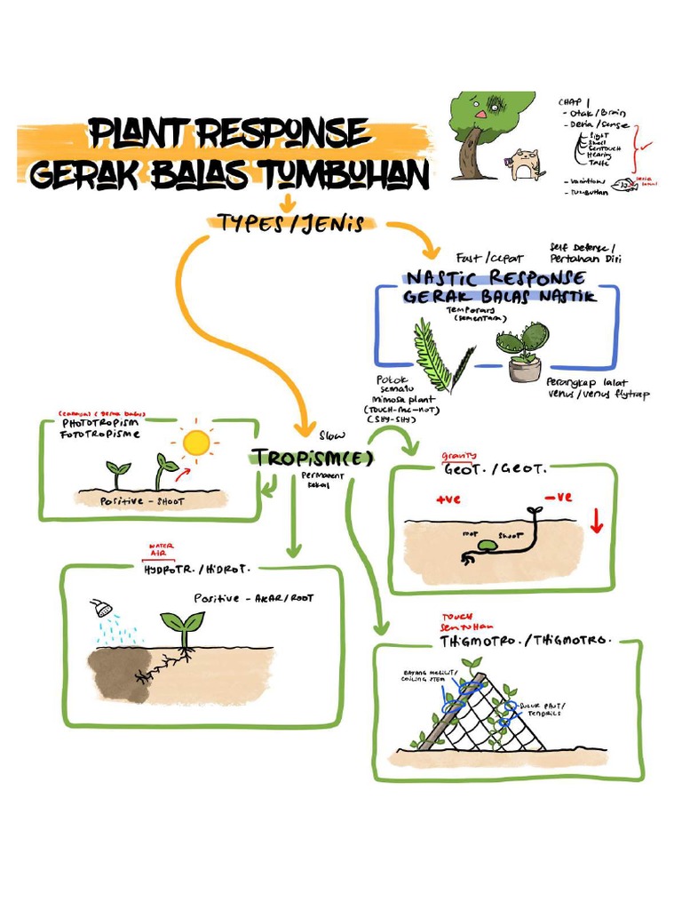 Science Chapter 1 2023 | PDF