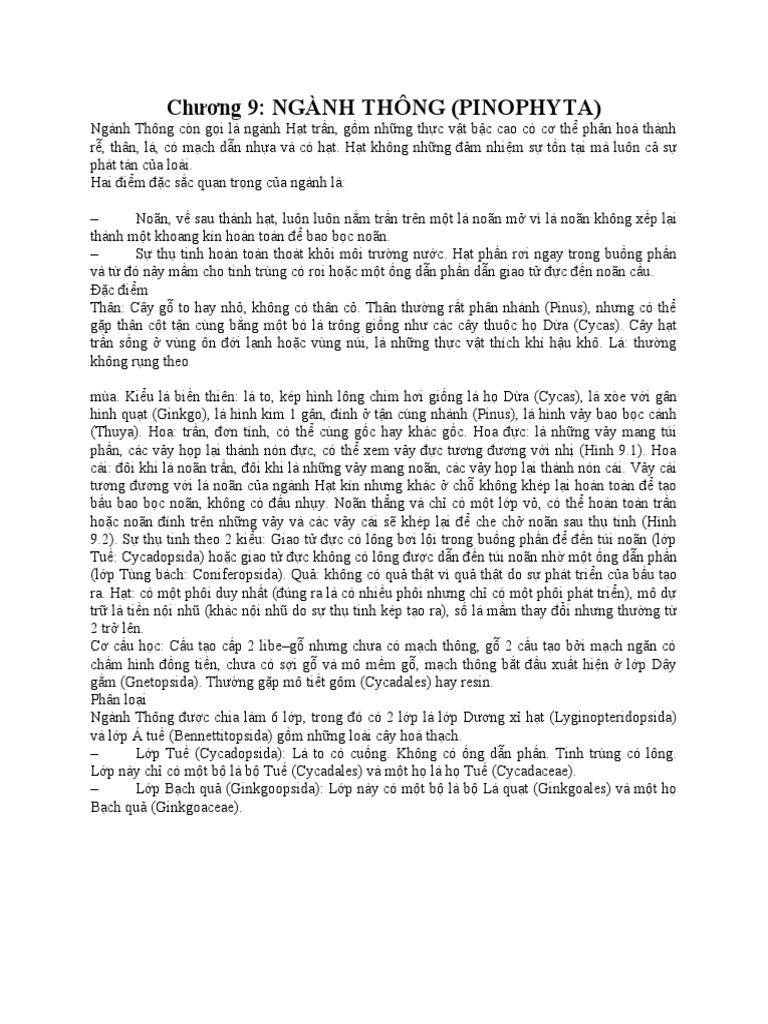 Ngành Thông (Pinophyta) | PDF