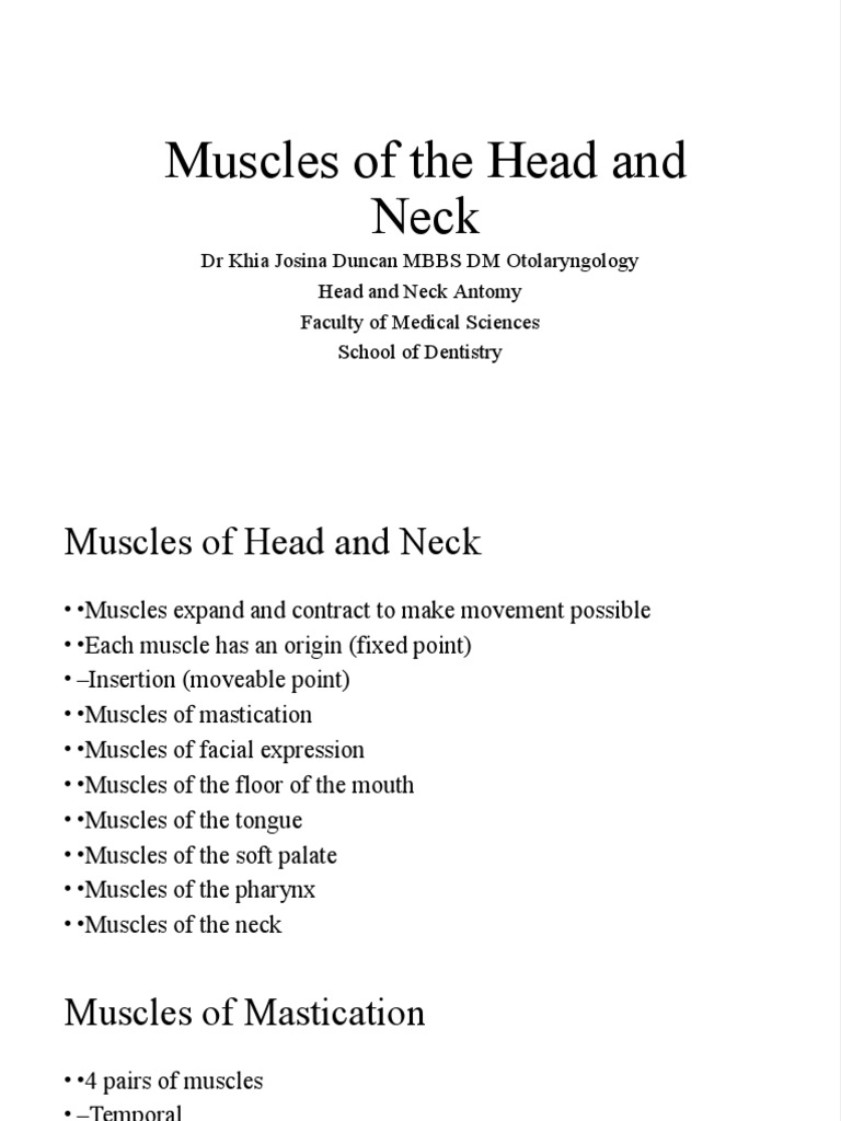 Muscles of Head and Neck Dental | PDF