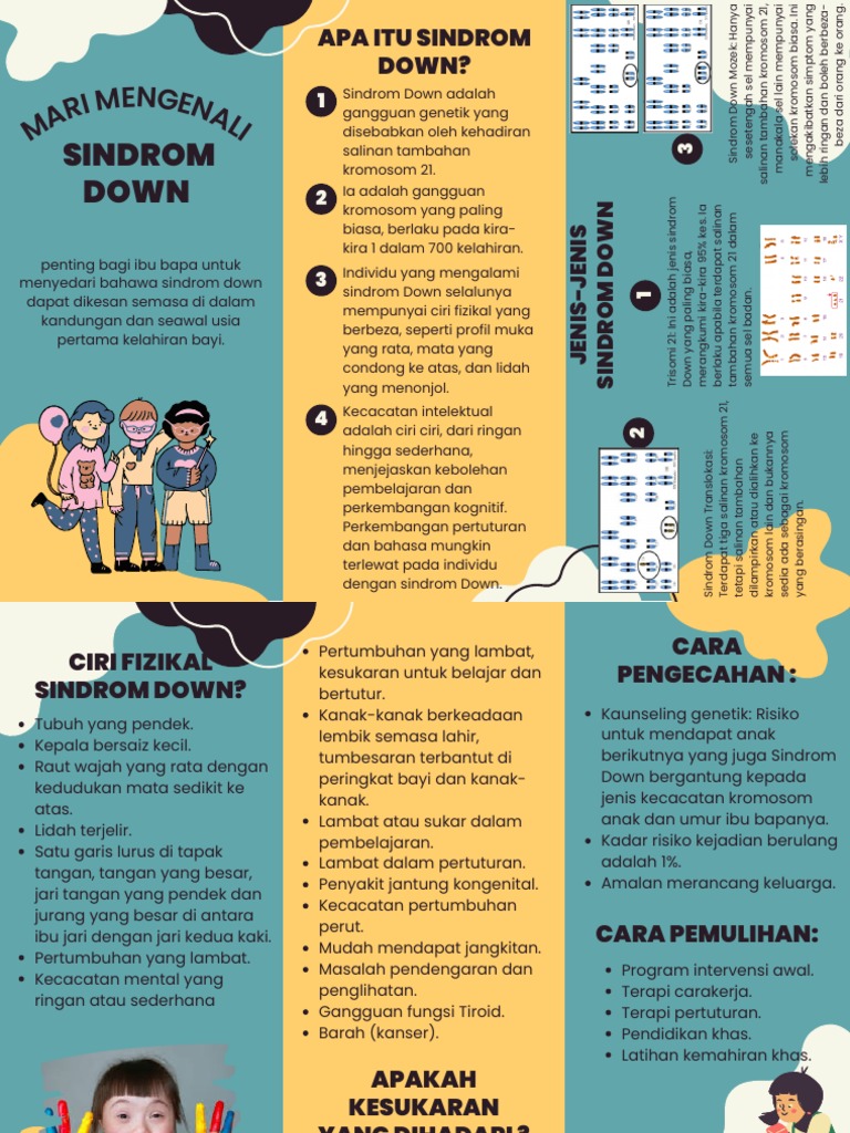 Brochure Syndrome Down | PDF