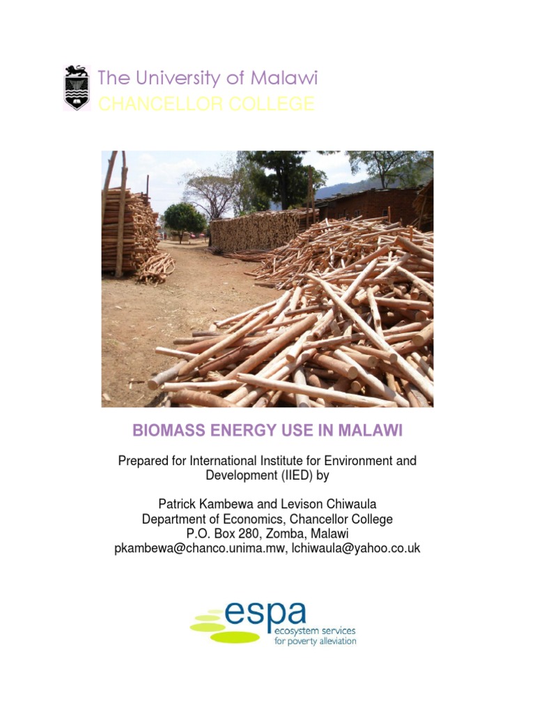 The University of Malawi: Chancellor College | PDF