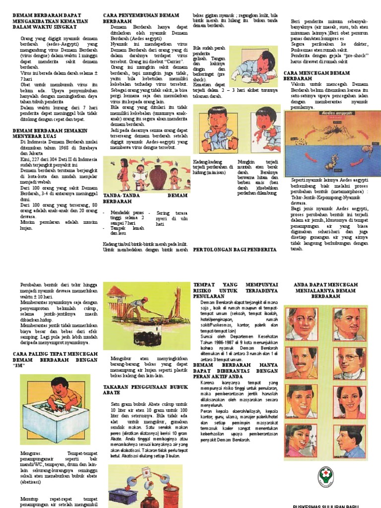 Leaflet Demam - Berdarah | PDF