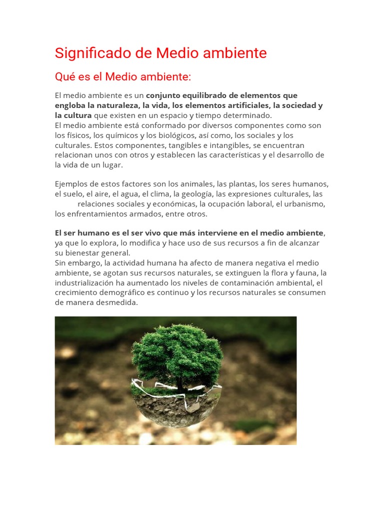 Significado de Medio Ambiente | PDF