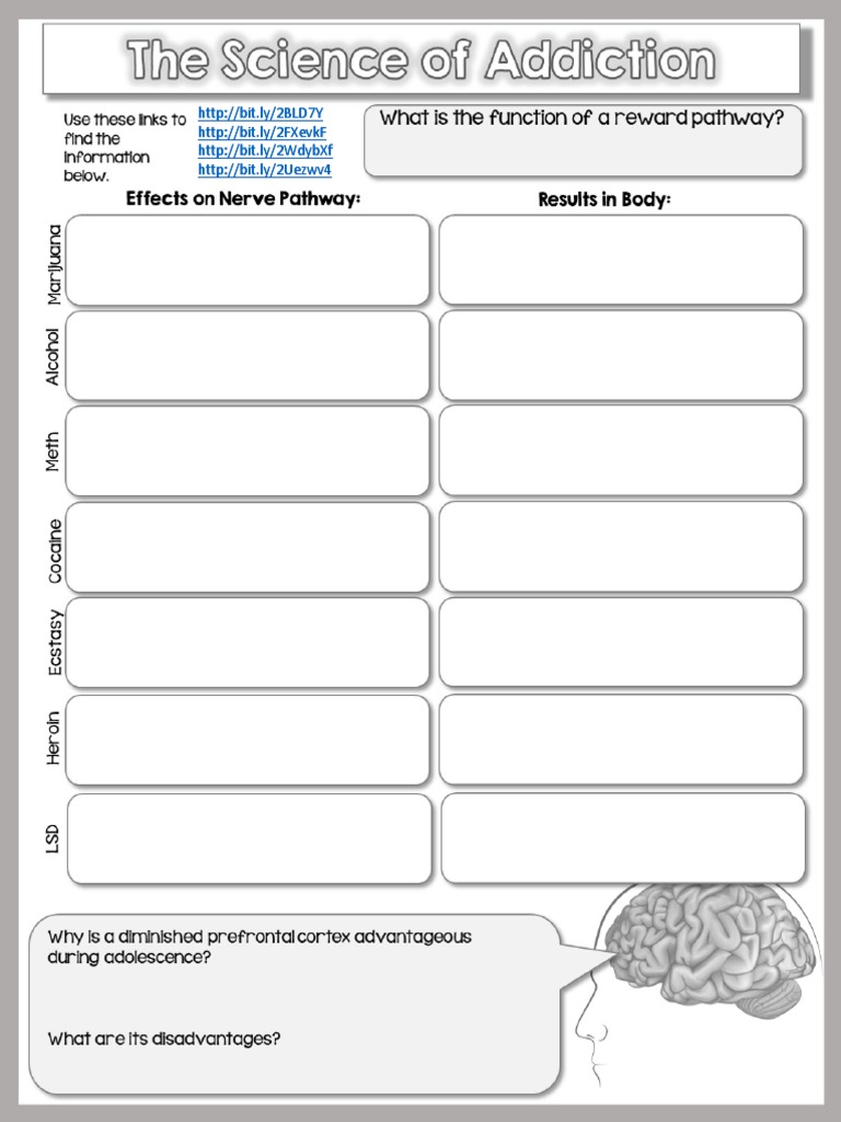 Science of Addiction | PDF