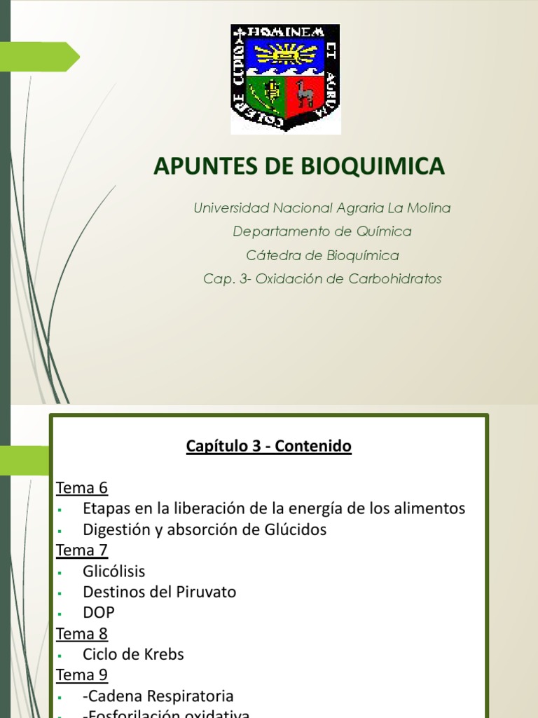 Bioq Tema 8 y 9 (Fin de Cap 3) 2022-1 | PDF