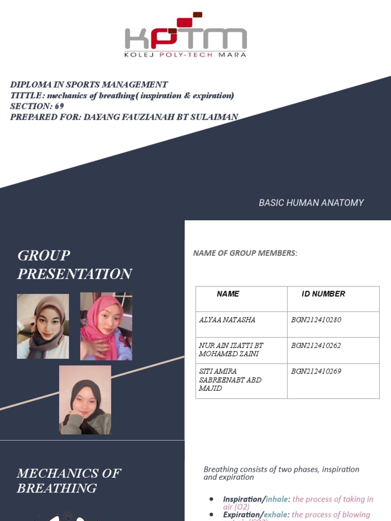 Anatomy Presentation | PDF | Exhalation | Breathing