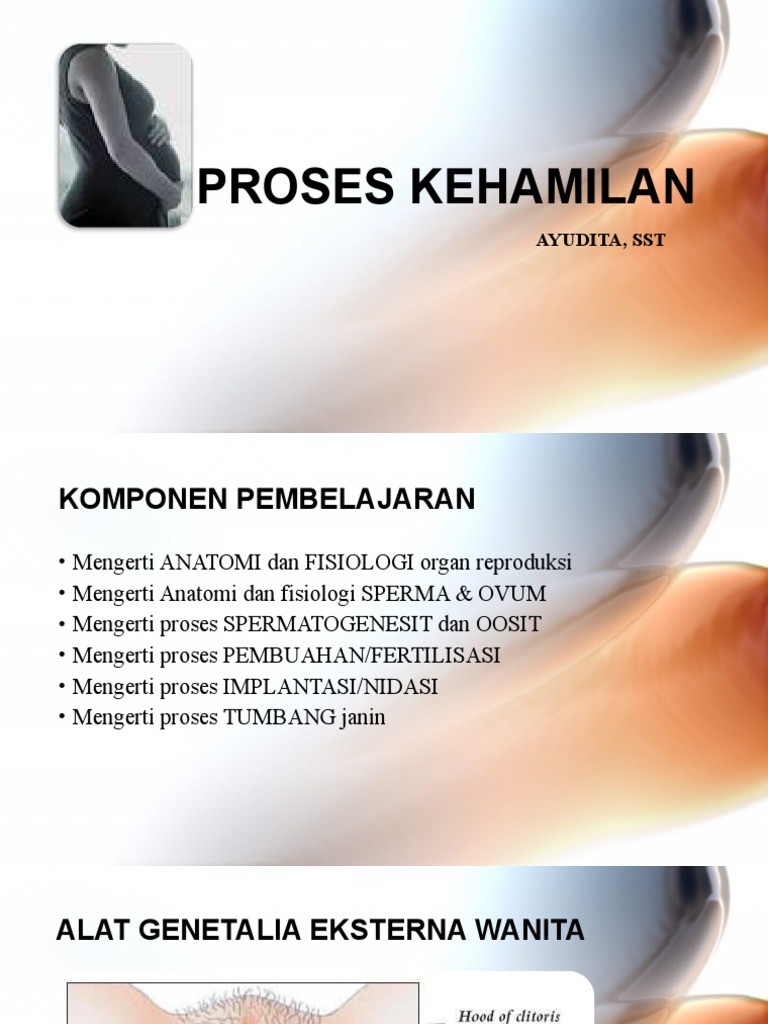 Proses Kehamilan | PDF