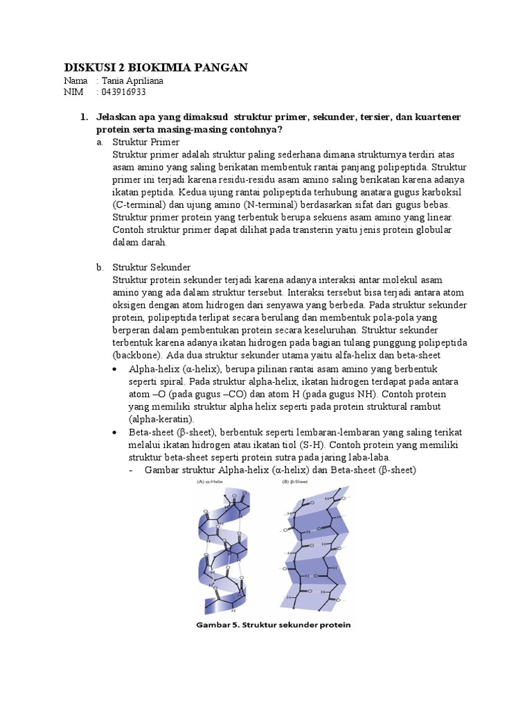Struktur dan Contoh Protein Biokimia | PDF