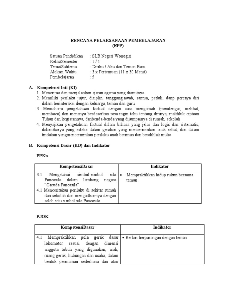 Tema 1 Sub 1 Pemb 5 | PDF
