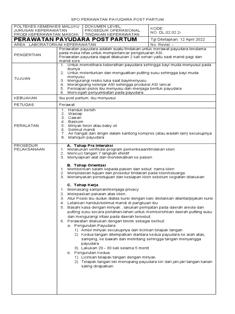 Spo Perawatan Payudara Post Partum | PDF