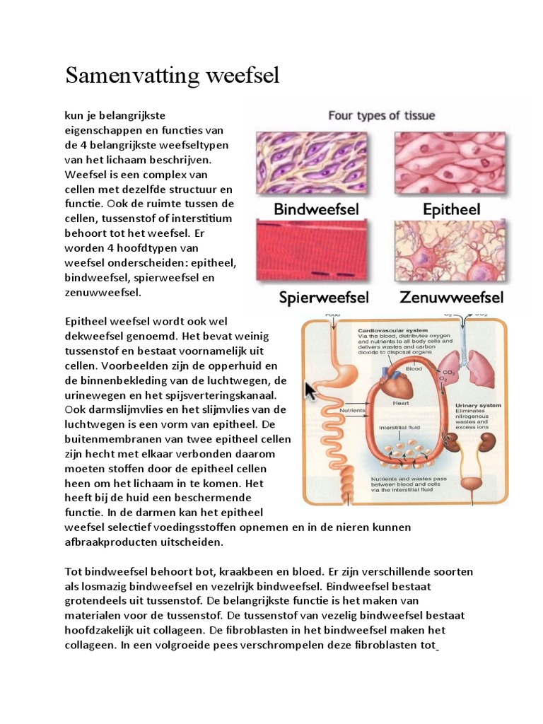 Samenvatting Weefsel | PDF