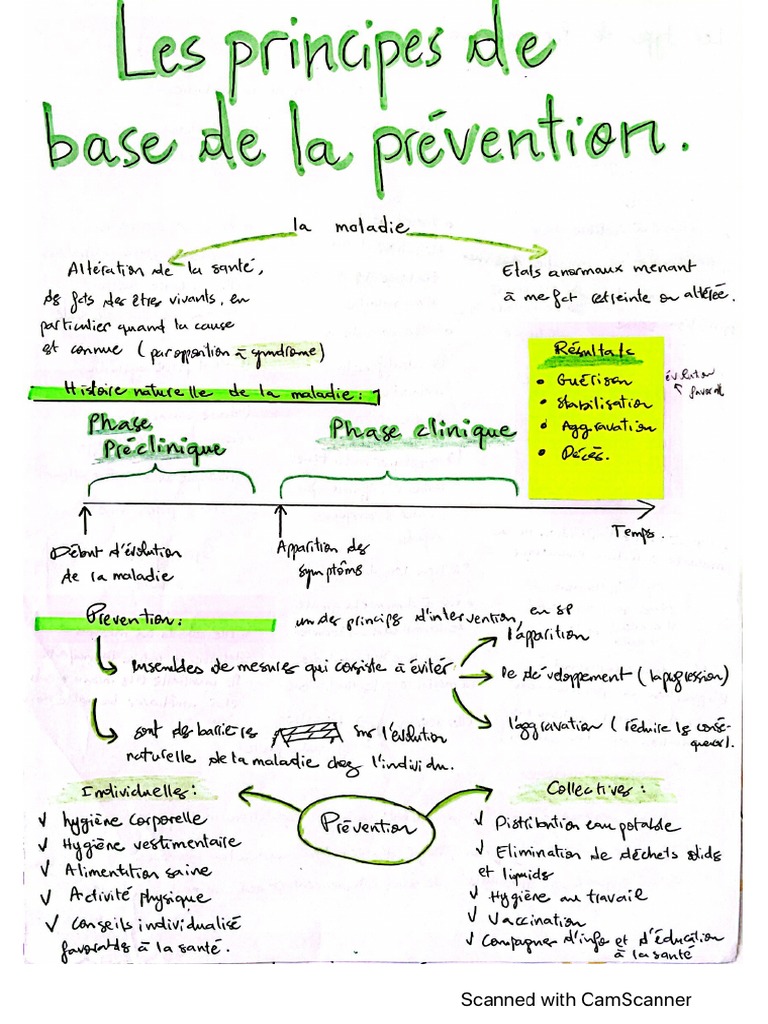 Les principes de bases de la prévention | PDF Les principes de bases de la prévention | PDF