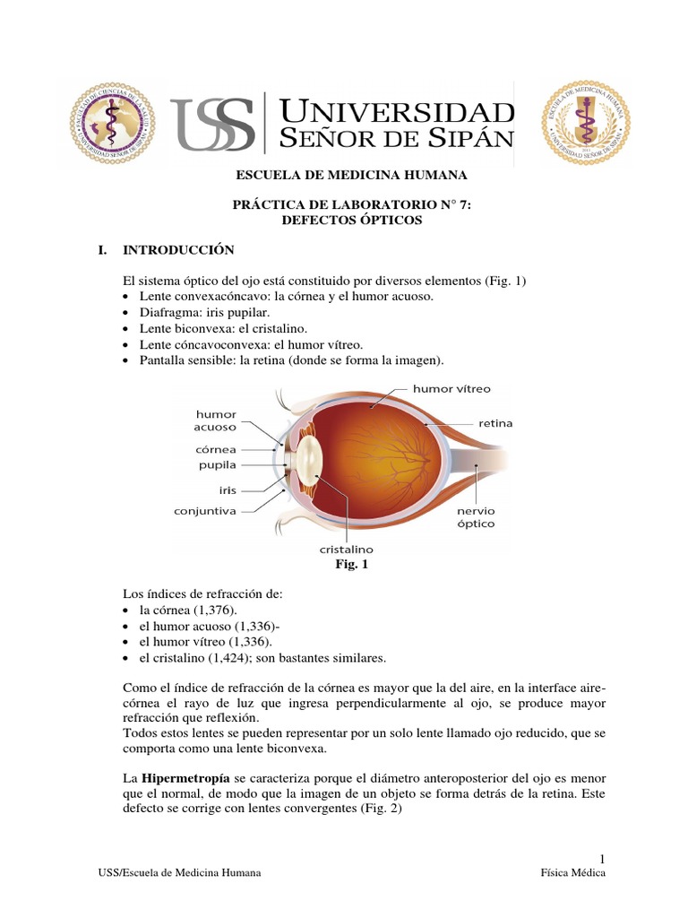 7 Defectos Opticos | PDF | Ojo humano | Óptica