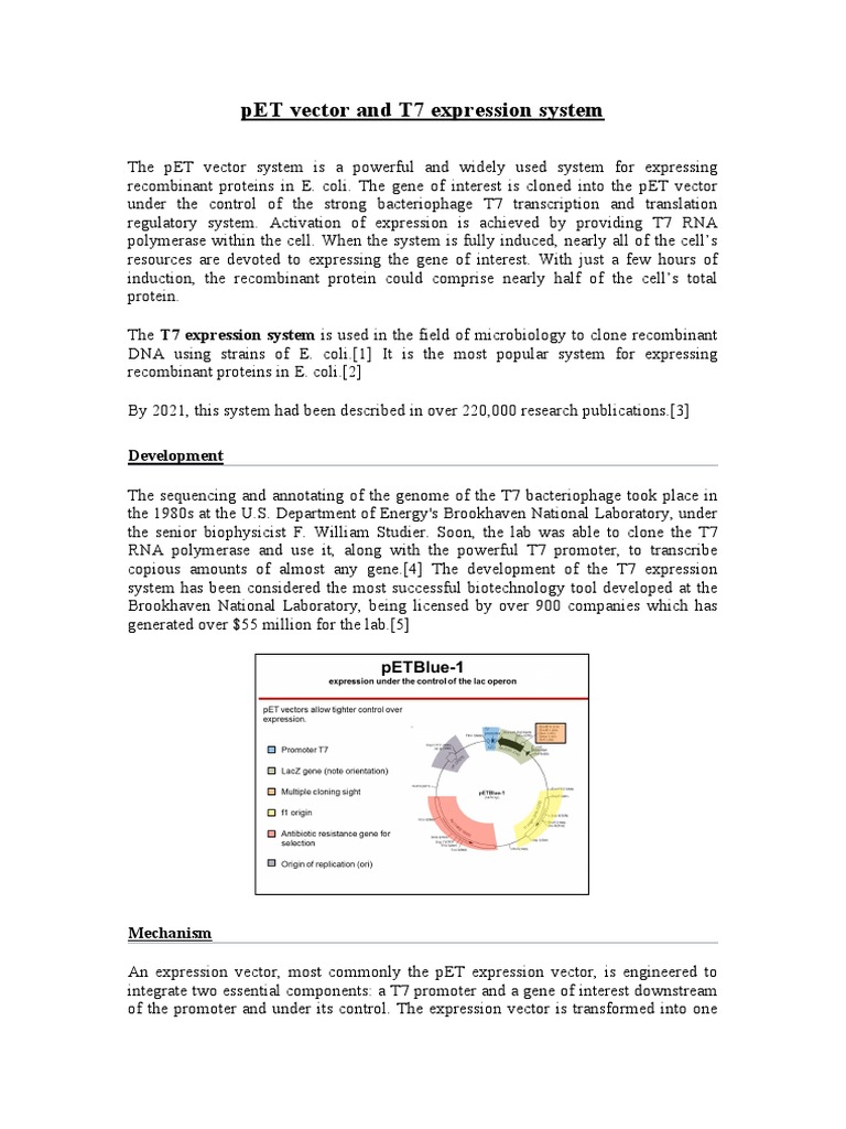 T7 Expression System | PDF | Science & Mathematics