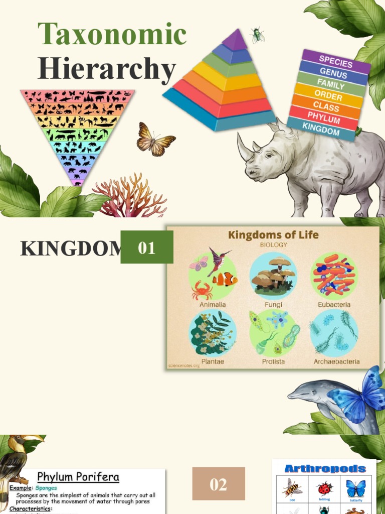 GROUP 2 Taxonomic Hierarchy Presentation | PDF
