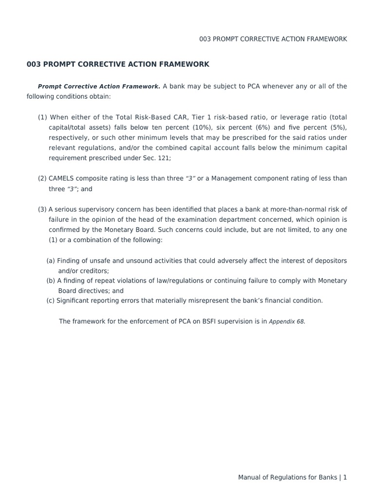 Prompt Corrective Action Guide | PDF